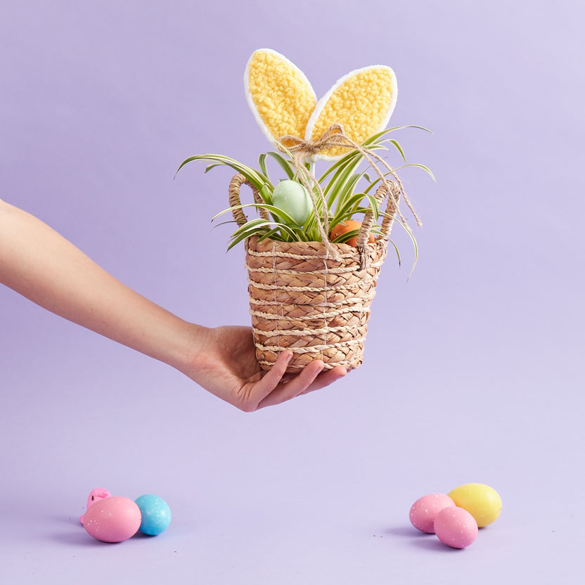 Easter Plants to Celebrate Spring | Lively Root