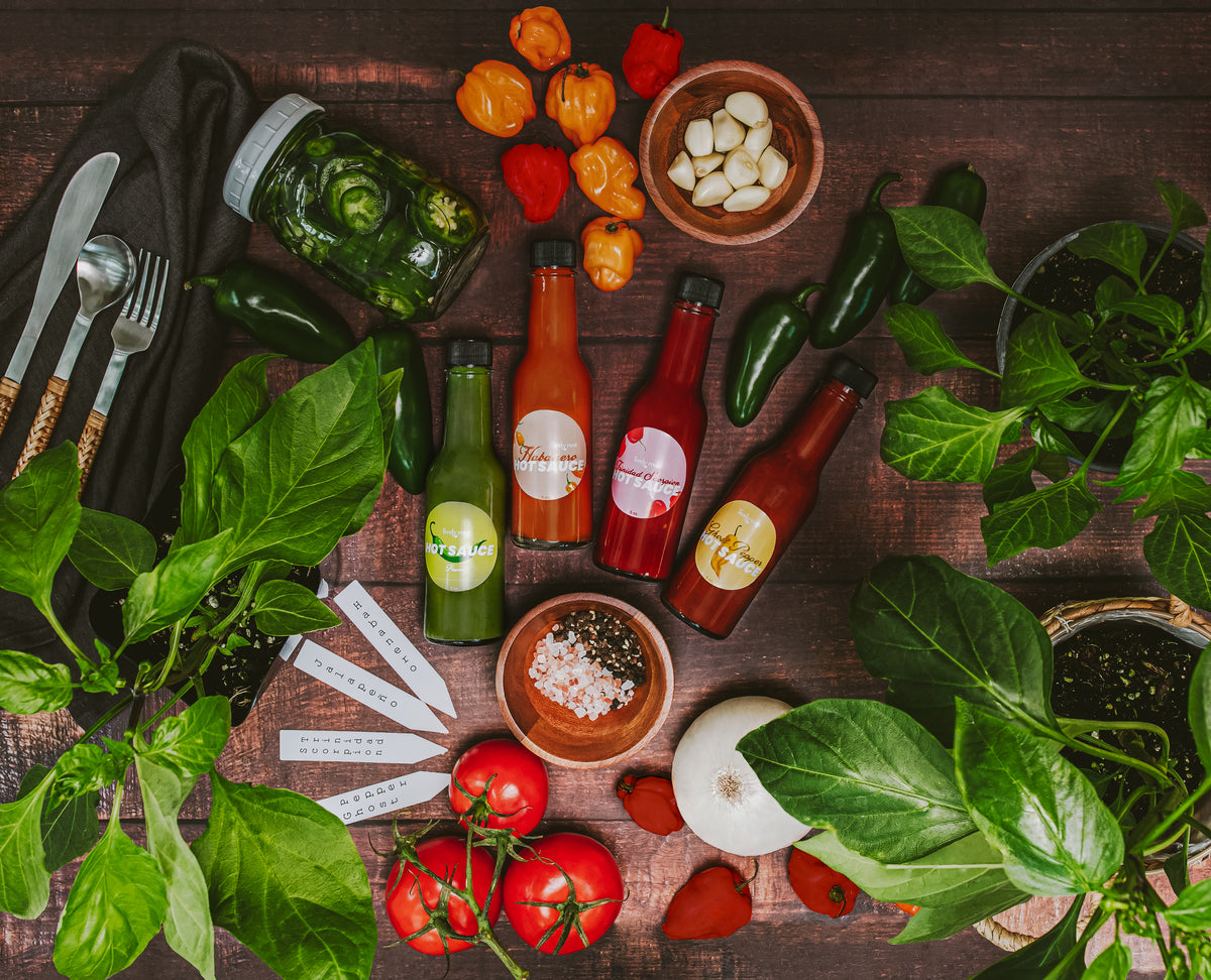 Ghost Pepper Hot Sauce | Lively Root