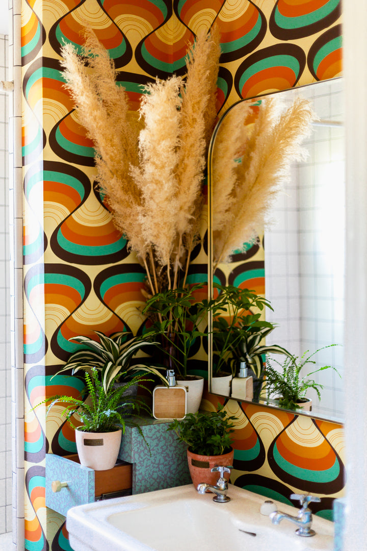 Collections | Lively Root