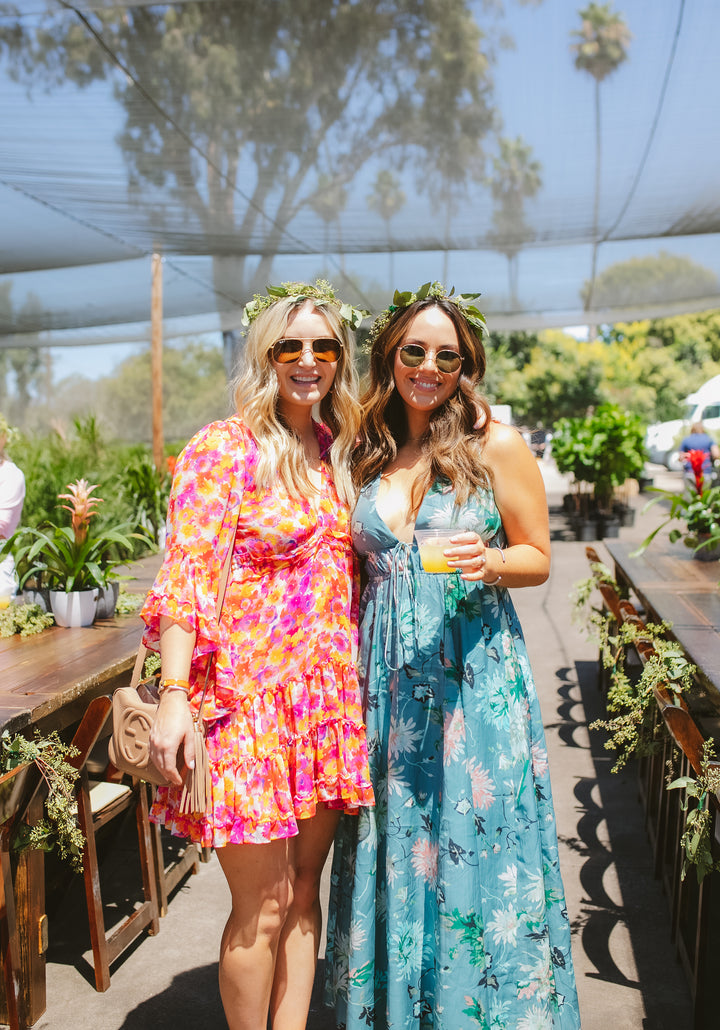 Collections | Lively Root