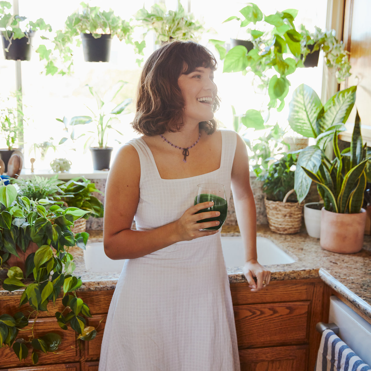 Earth Day Plants | Live Plant Delivery | Lively Root