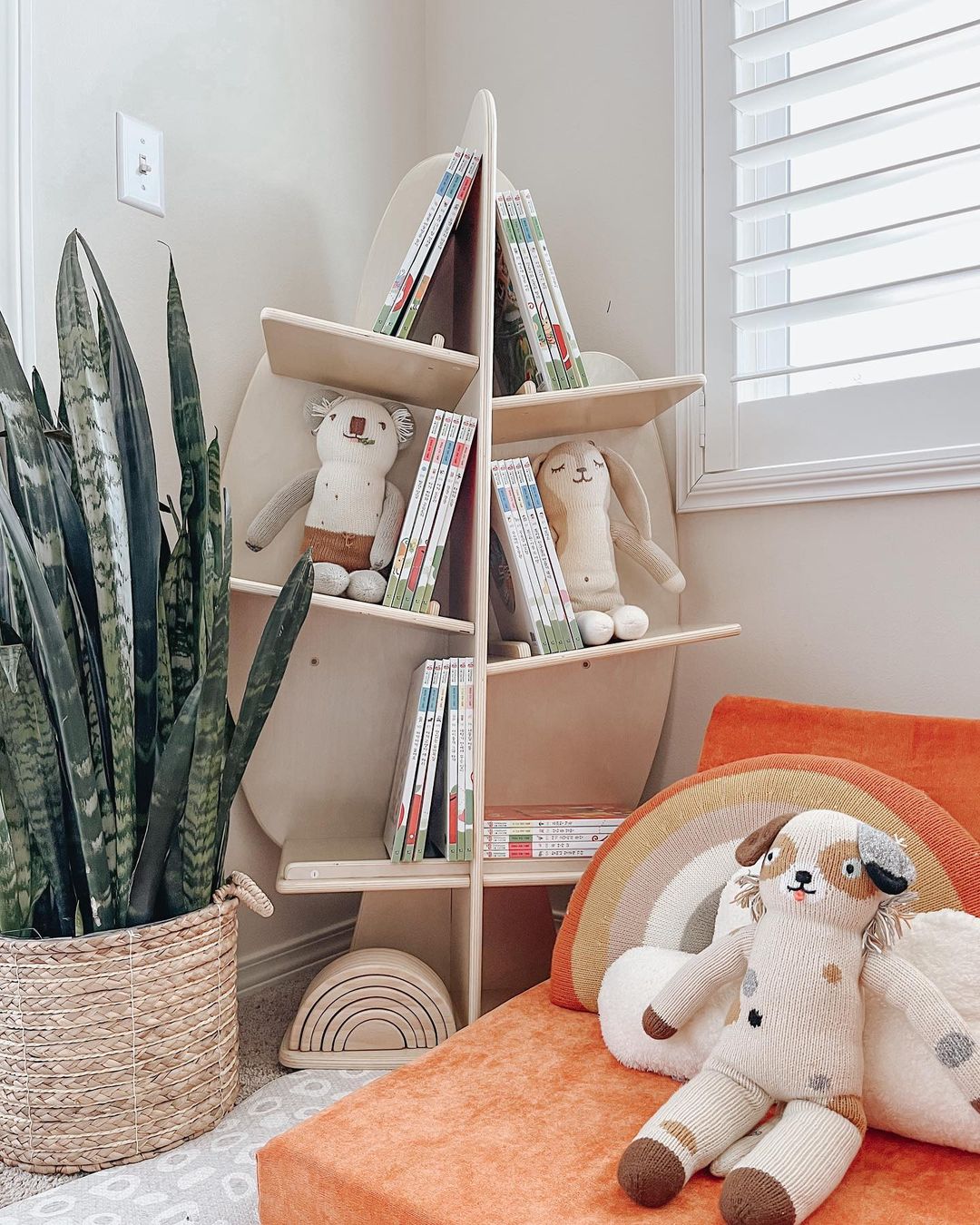 Nursery House Plants | Live Indoor Plants | Lively Root