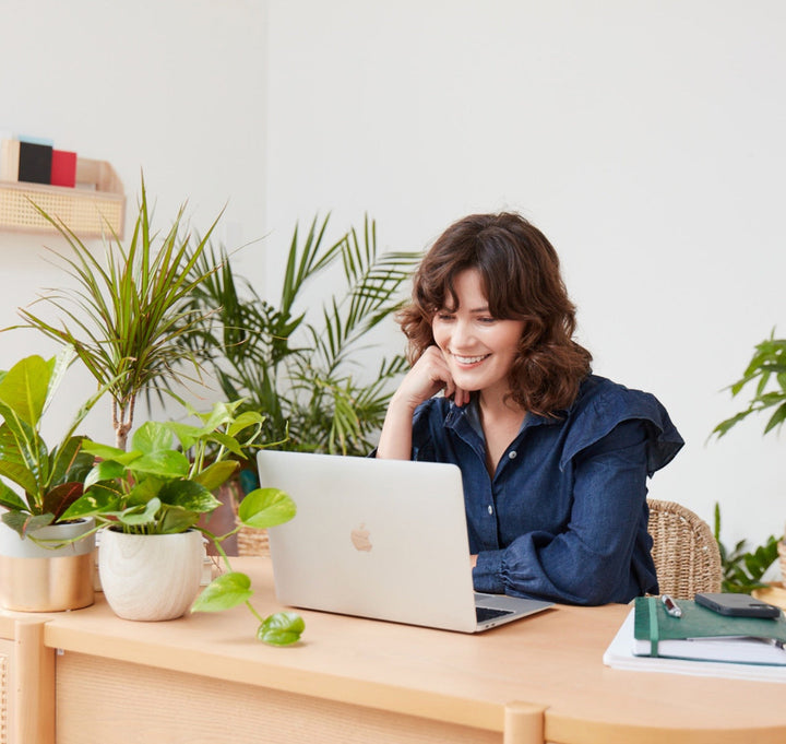 Collections | Lively Root