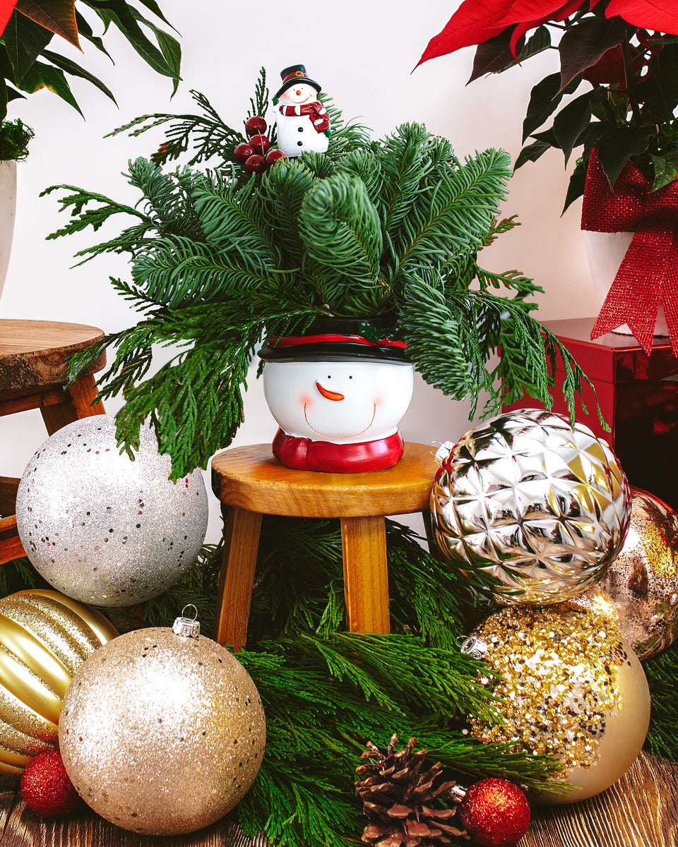 Nutcracker Centerpiece | Fresh Cut Noble Fir | Lively Root