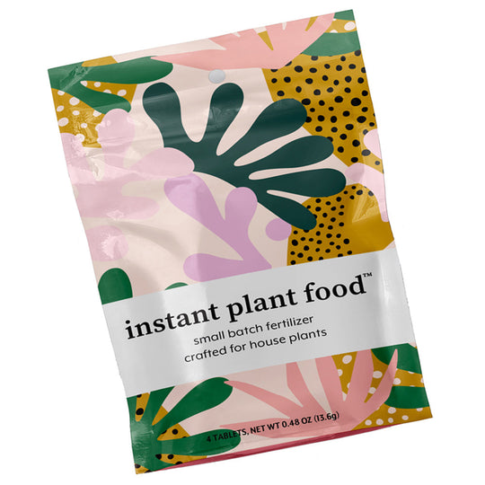 Purple Swedish Ivy Care Guide | Lively Root
