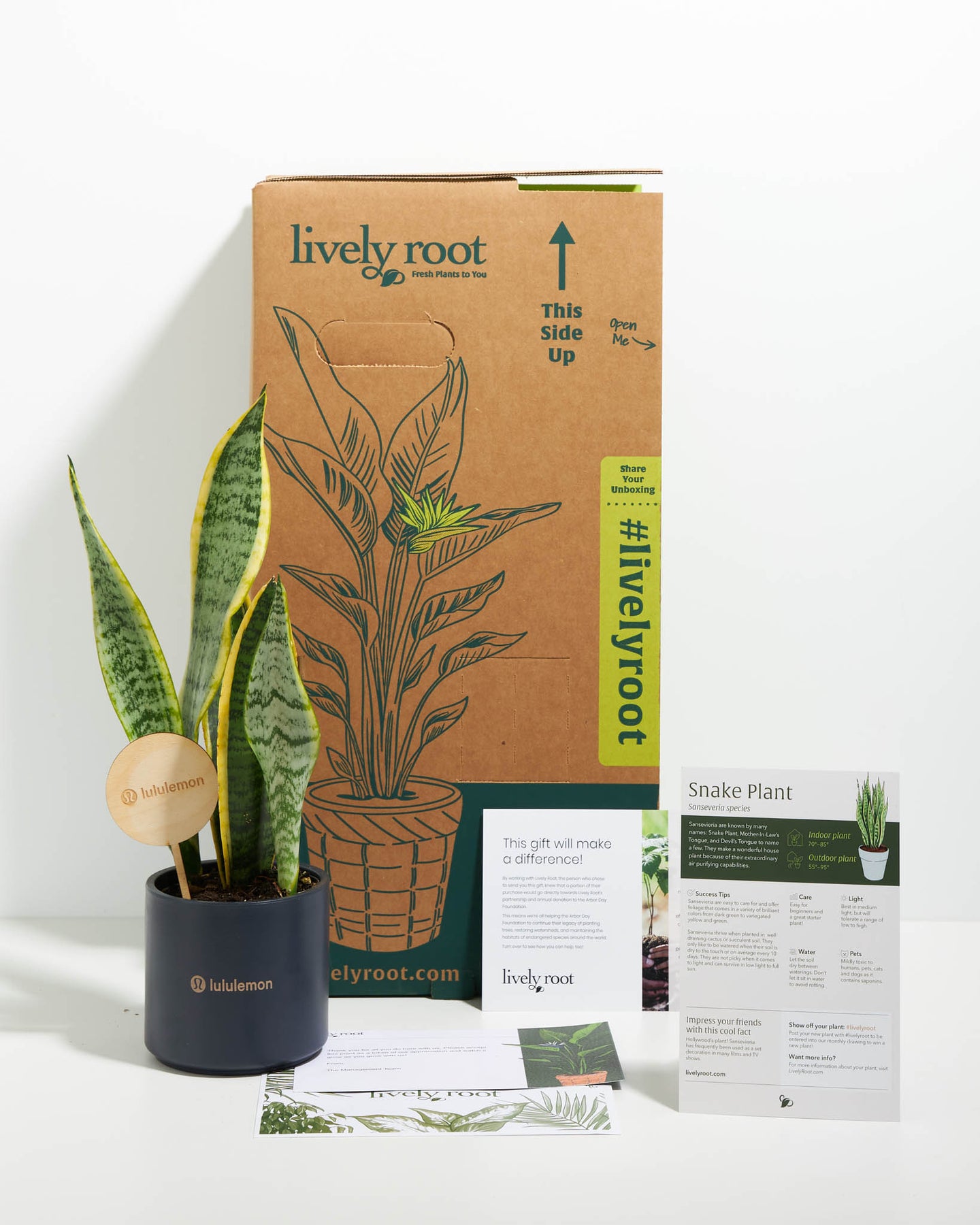 Corporate Gifts | Live Plants | 30-day Happiness Guarantee | Lively Root
