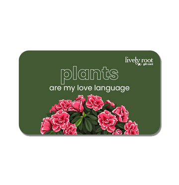 Buy Plants Online | Order Live Plants for Sale | Lively Root