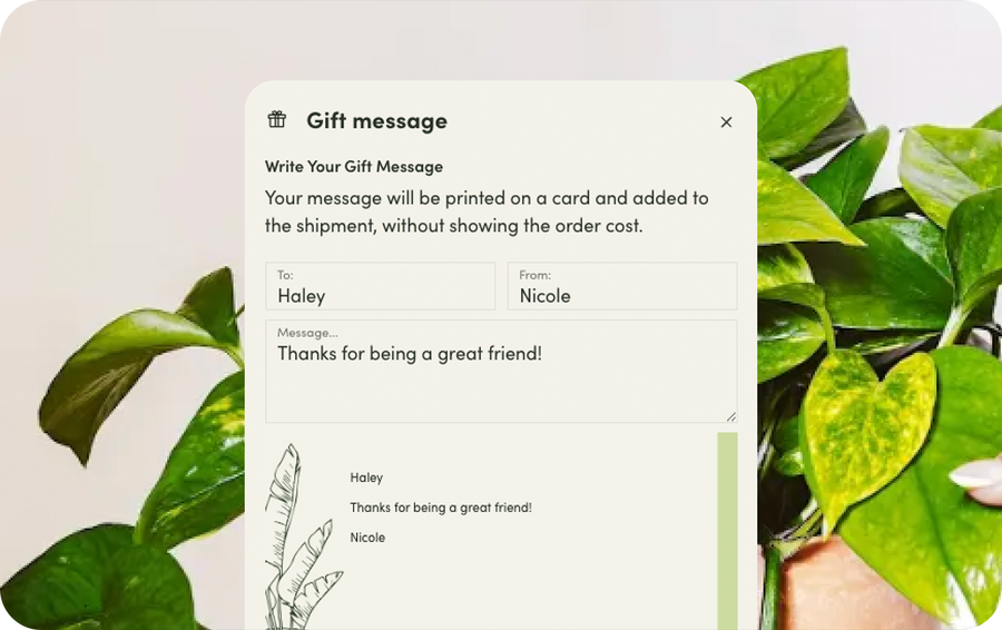 Gifts for Plant Lovers | Live Plant Delivery | Lively Root