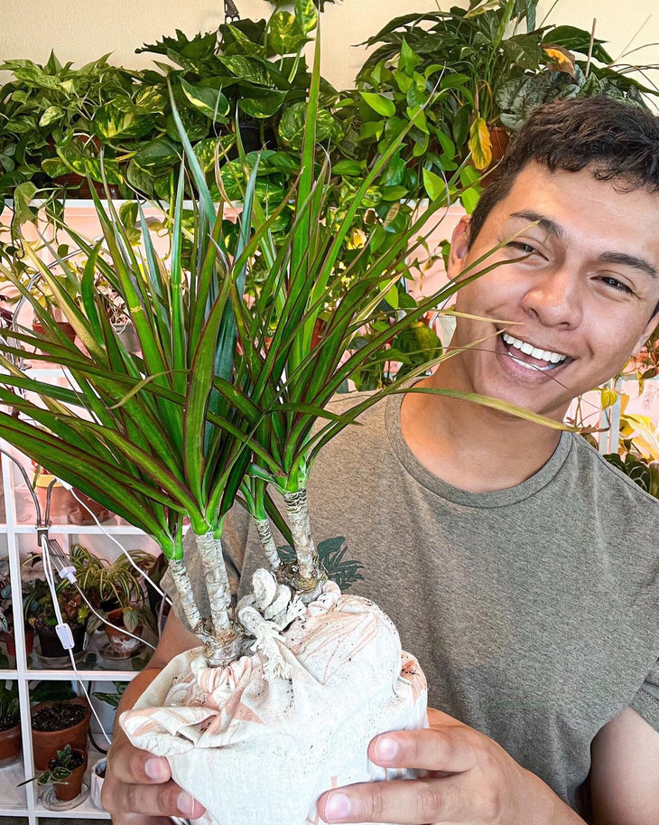 Lively Root Garden Club | Plant Club Membership