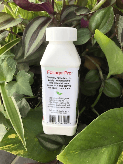 Dyna-Gro Foliage Pro - The Perfect Houseplant Fertilizer