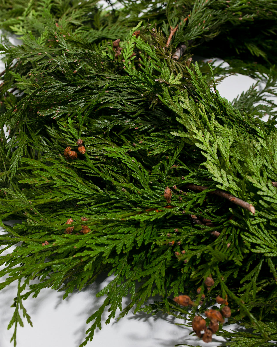 Cedar Garland | Fresh Christmas Christmas Greenery | Holiday Decor