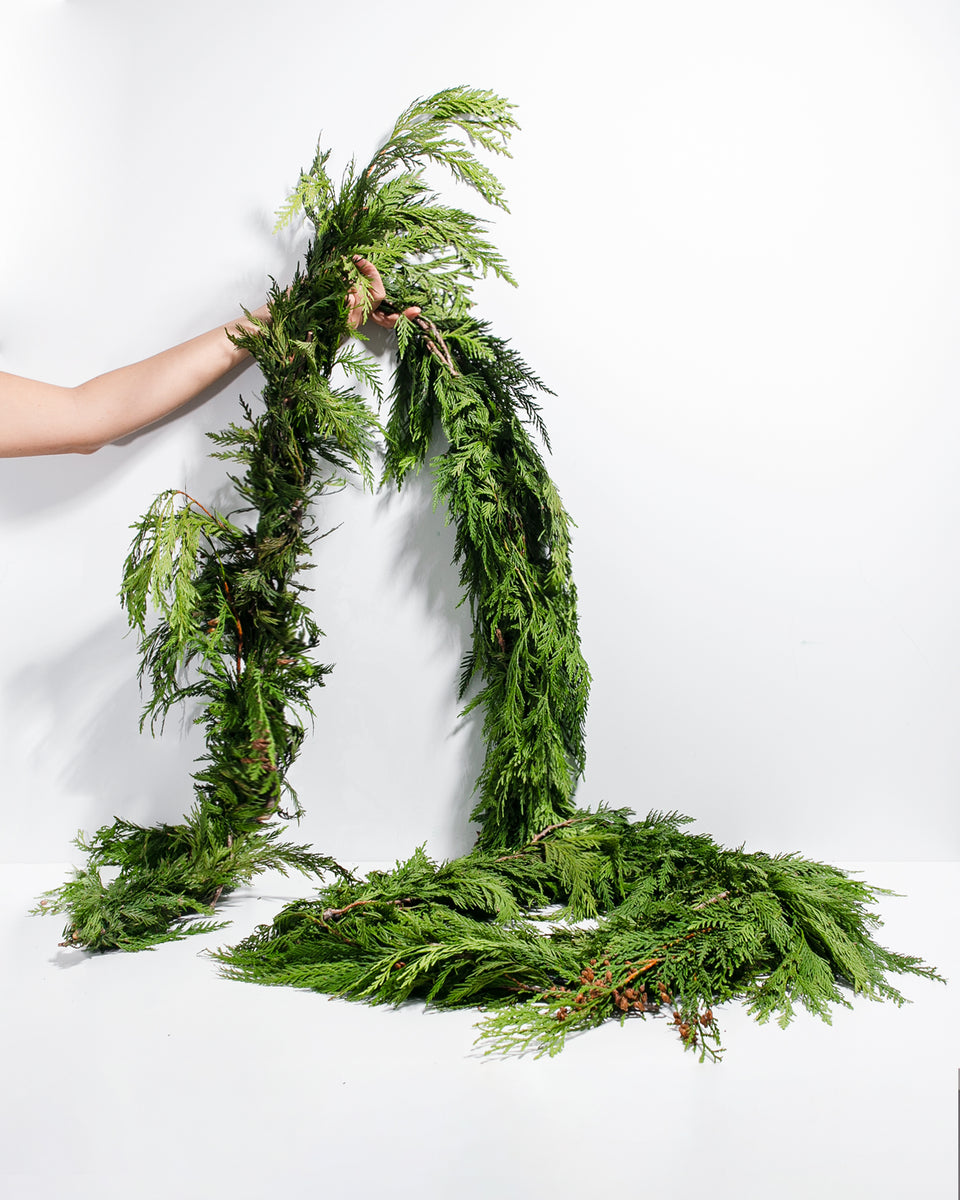 Cedar Garland | Fresh Christmas Christmas Greenery | Holiday Decor