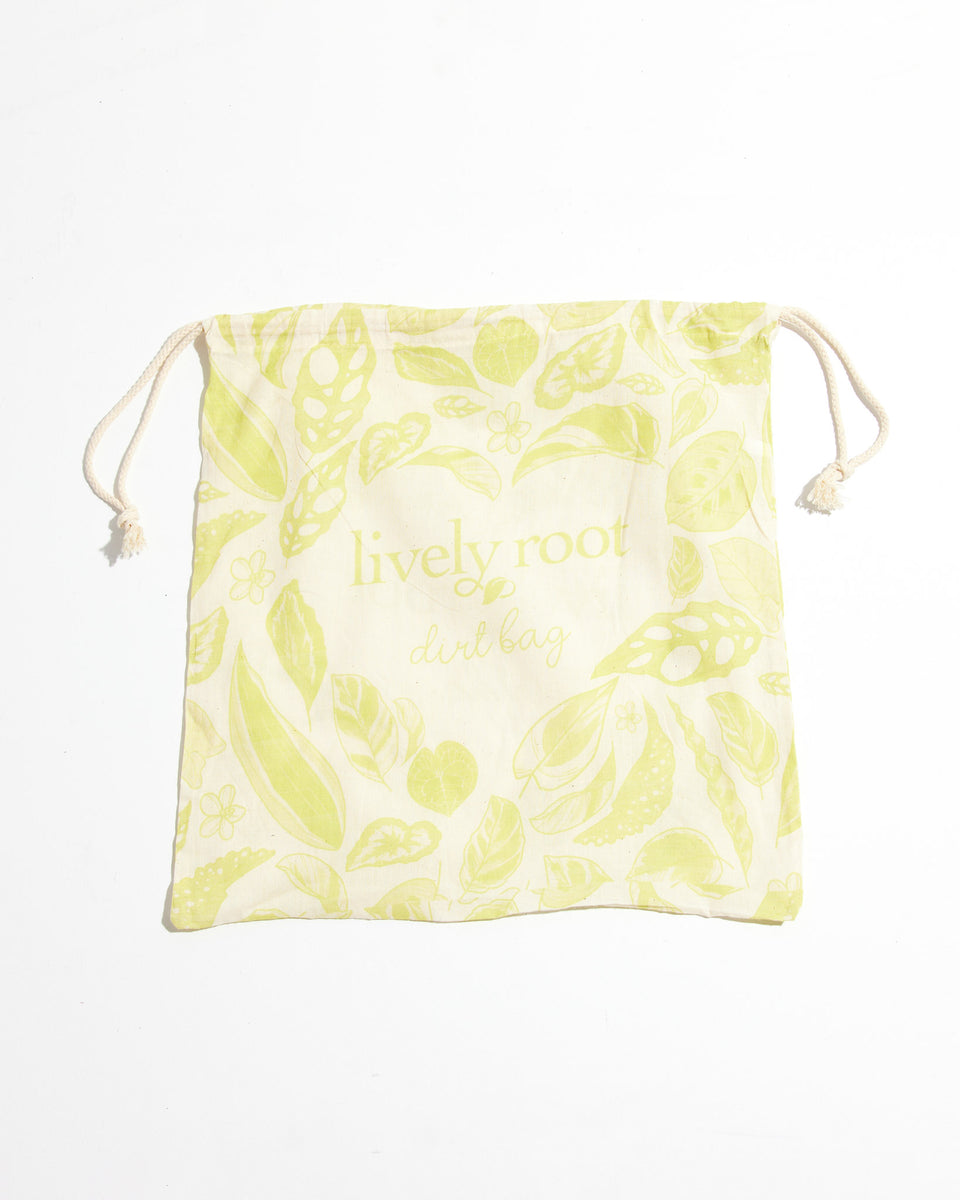 Dirt Bag | Lively Root