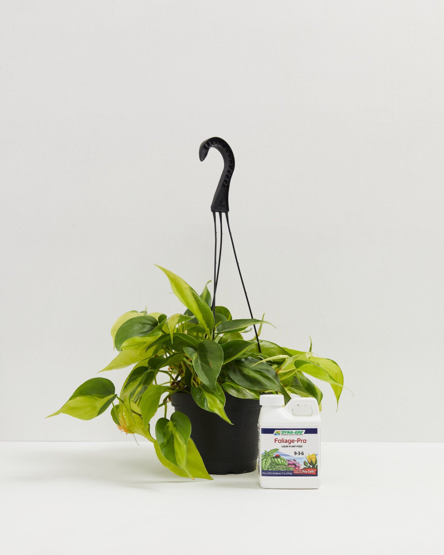 Dyna-Gro Foliage Pro - The Perfect Houseplant Fertilizer