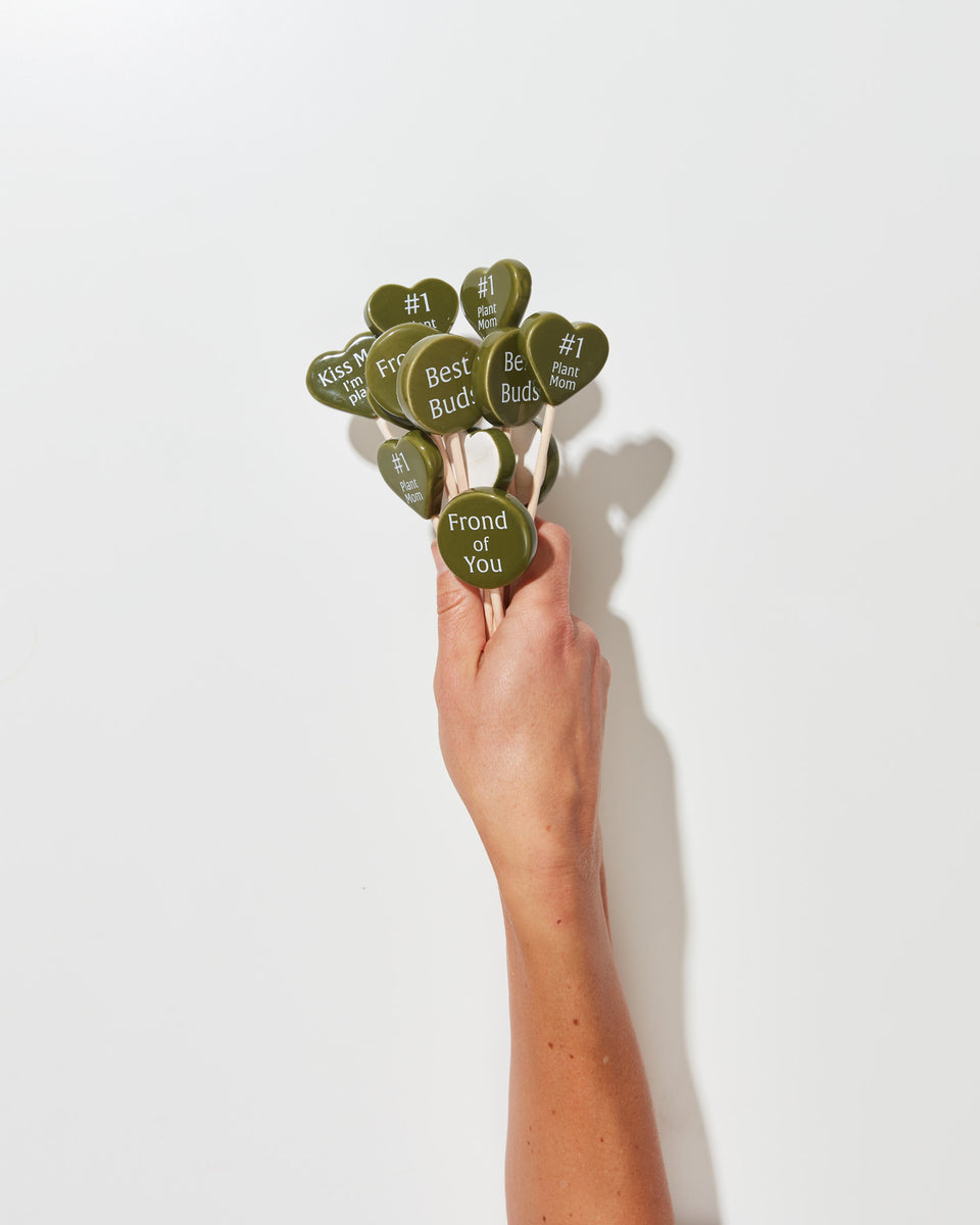 Plant Picks For A Purpose | Lively Root