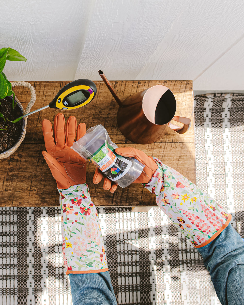 Garden Starter Kit | Plant & Accessory Bundle | Lively Root