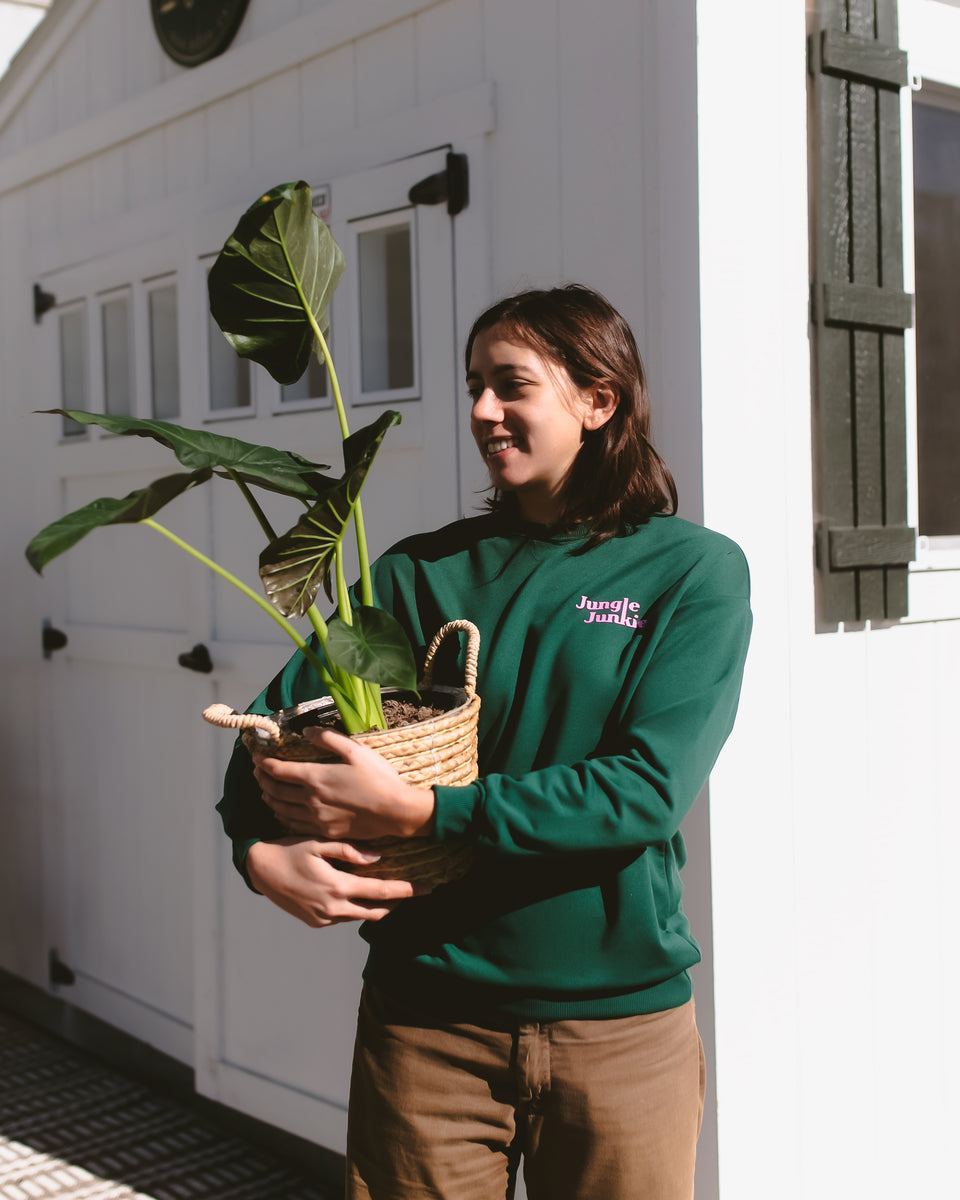 Lively Root Crewneck | Plant Gifts | Lively Root