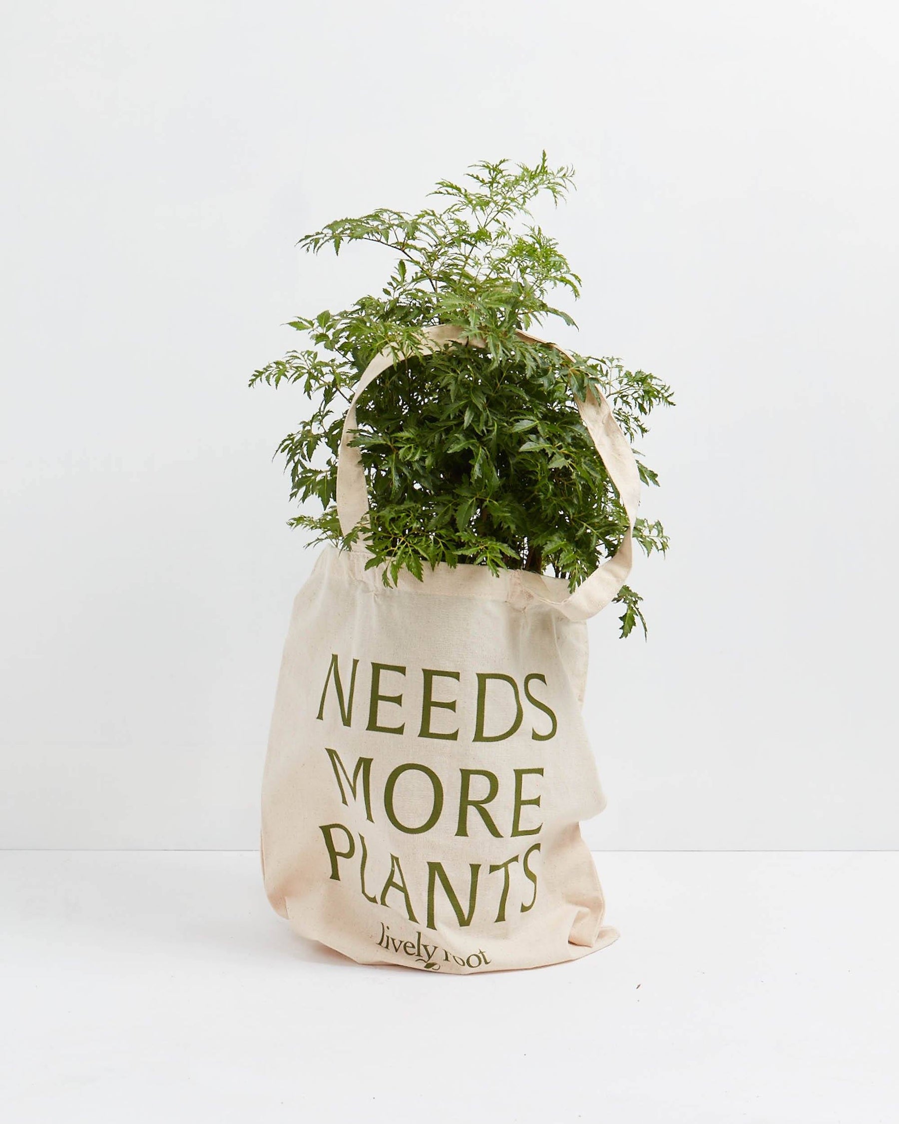 Needs More Plants | Totes | Accessories | Lively Root