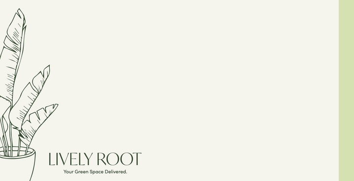 Order Live Plants Online | Live Plants for Sale | Lively Root